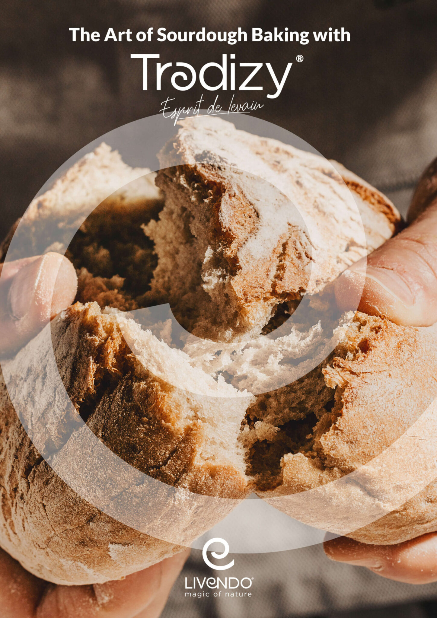 Tradizy® Durum – The Art of Sourdough Baking | Lesaffre Philippines